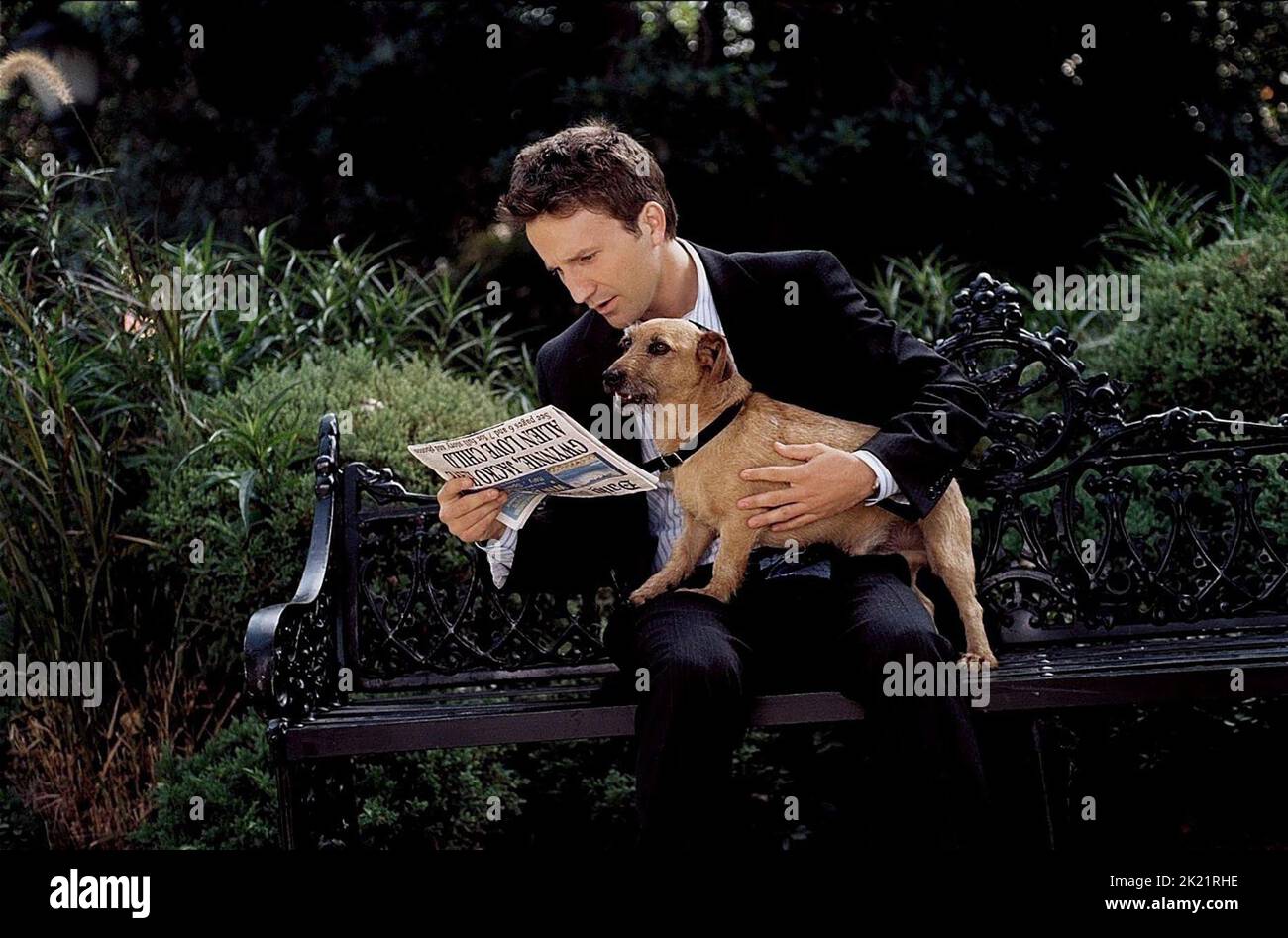 Garfield garfield tail two kitties hi-res stock photography and images ...