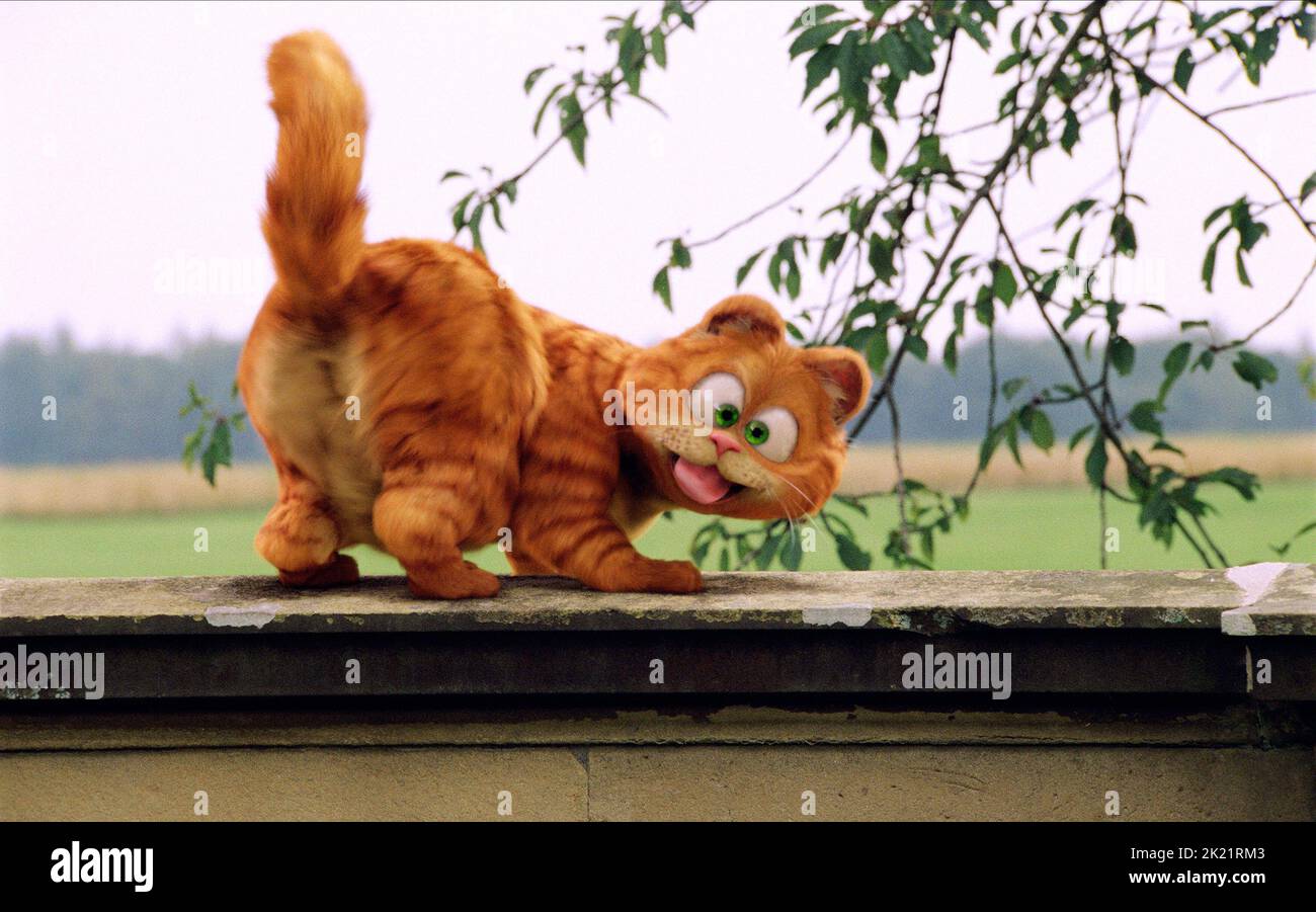 GARFIELD, GARFIELD: A TAIL OF TWO KITTIES, 2006 Stock Photo - Alamy