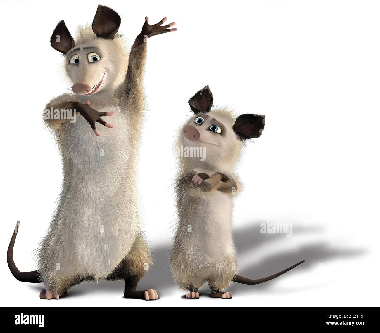 Over The Hedge Possum