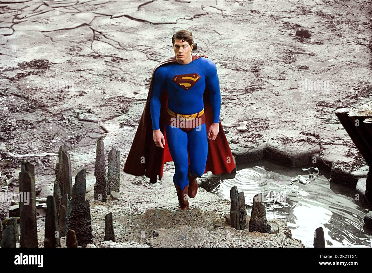 Brandon routh superman hi-res stock photography and images - Alamy
