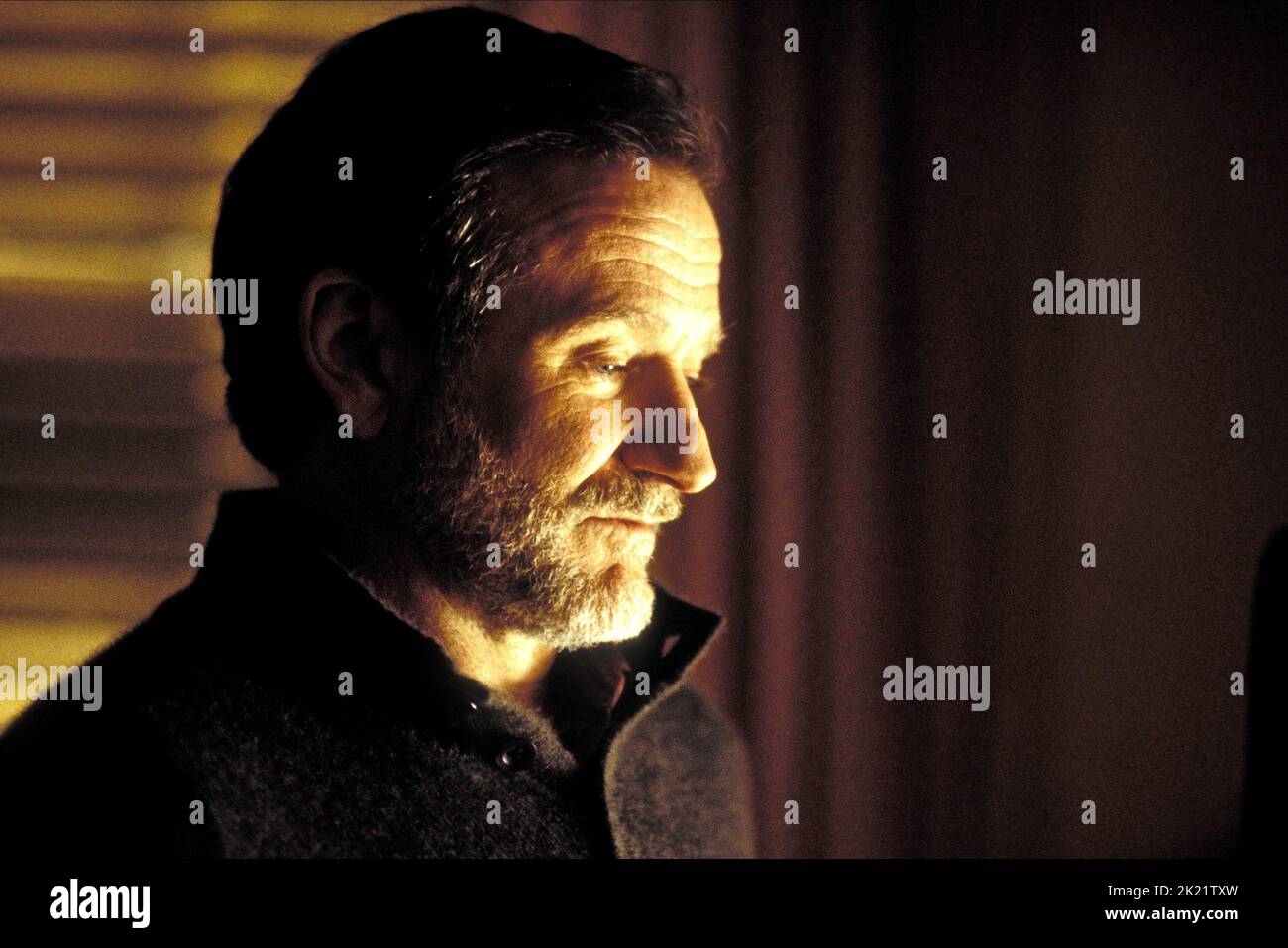 ROBIN WILLIAMS, THE NIGHT LISTENER, 2006 Stock Photo - Alamy