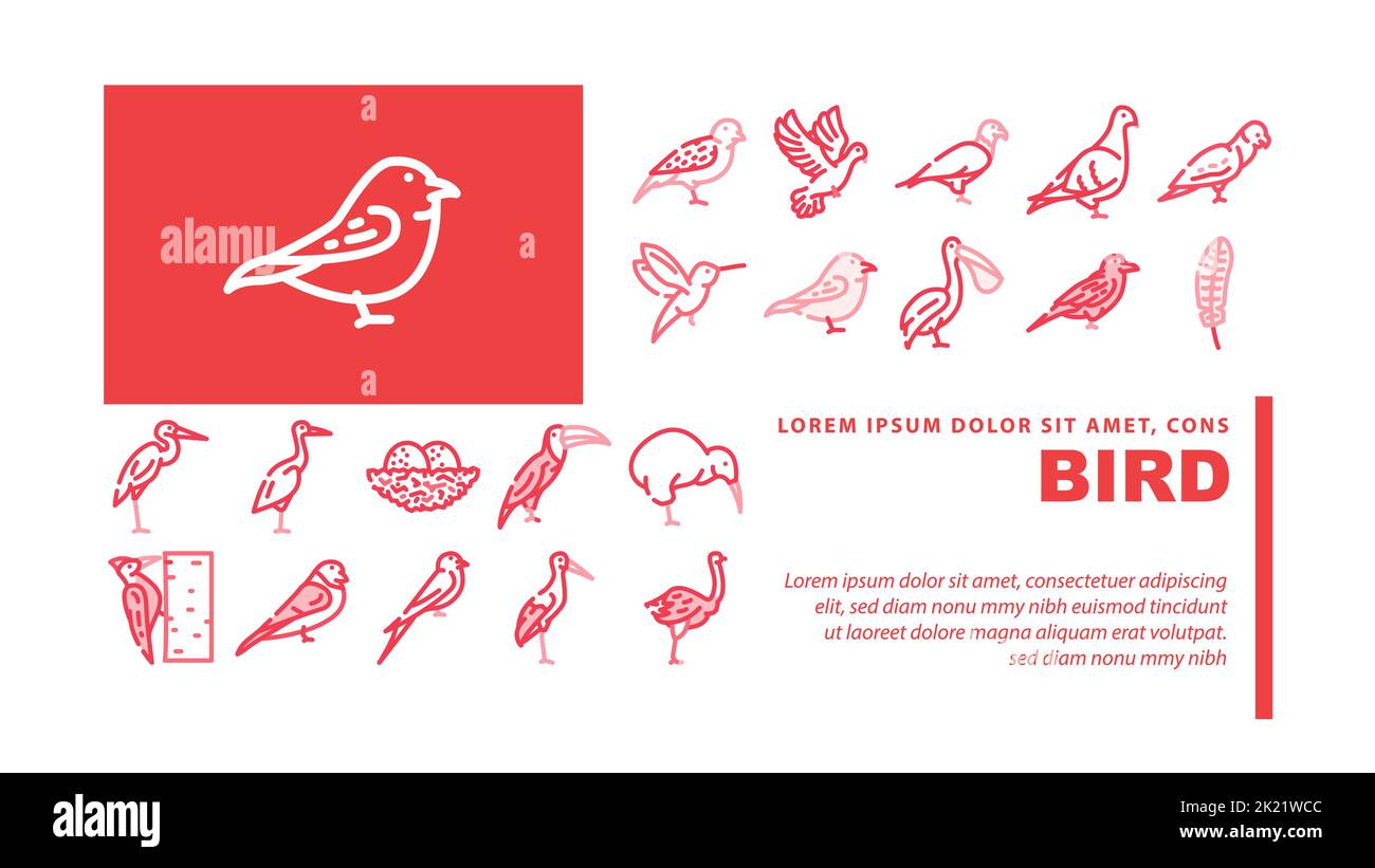 Bird Flying And Eggs In Nest landing header vector Stock Vector Image ...