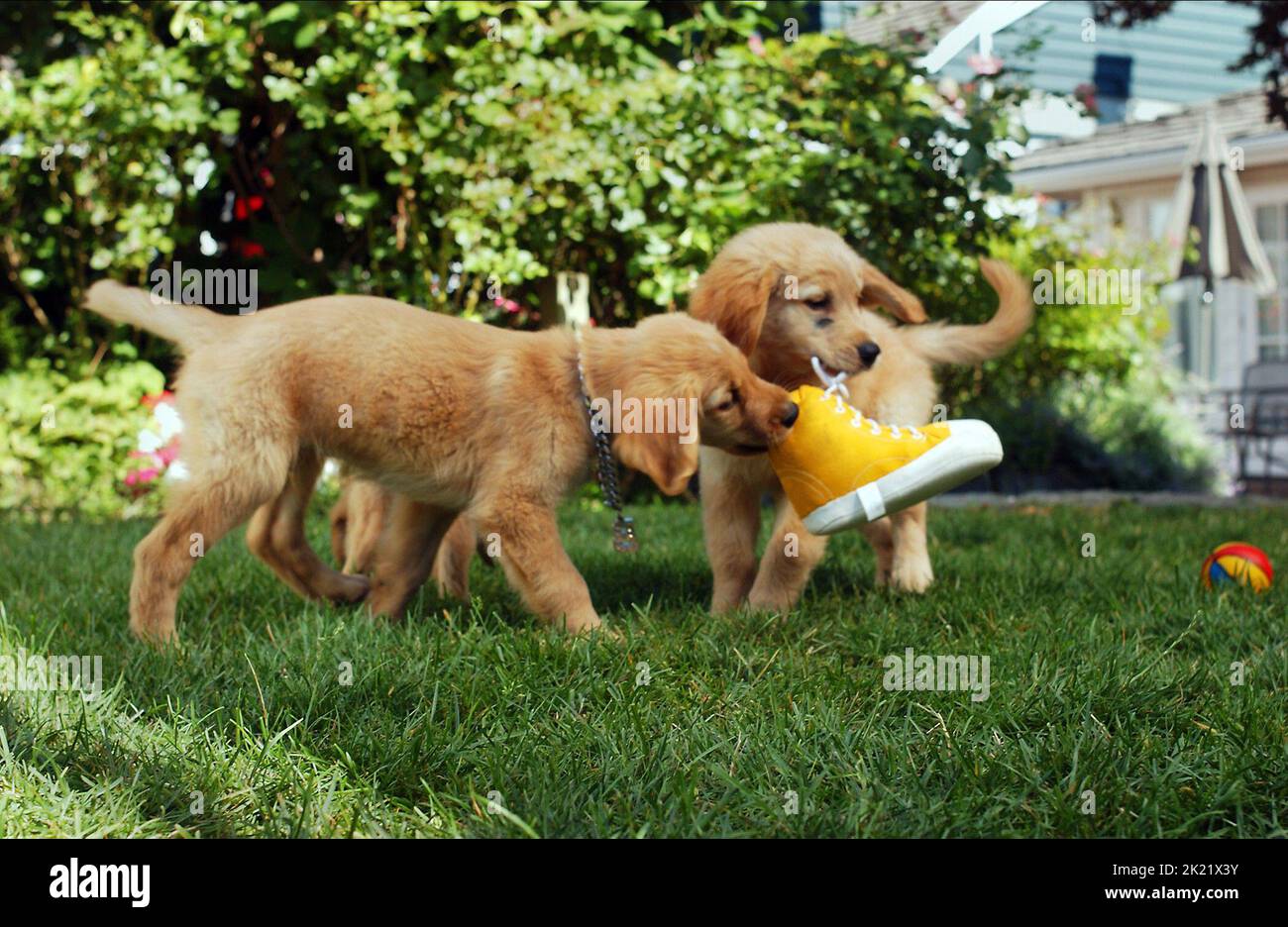 Air buddies 2006 hi-res stock photography and images - Alamy