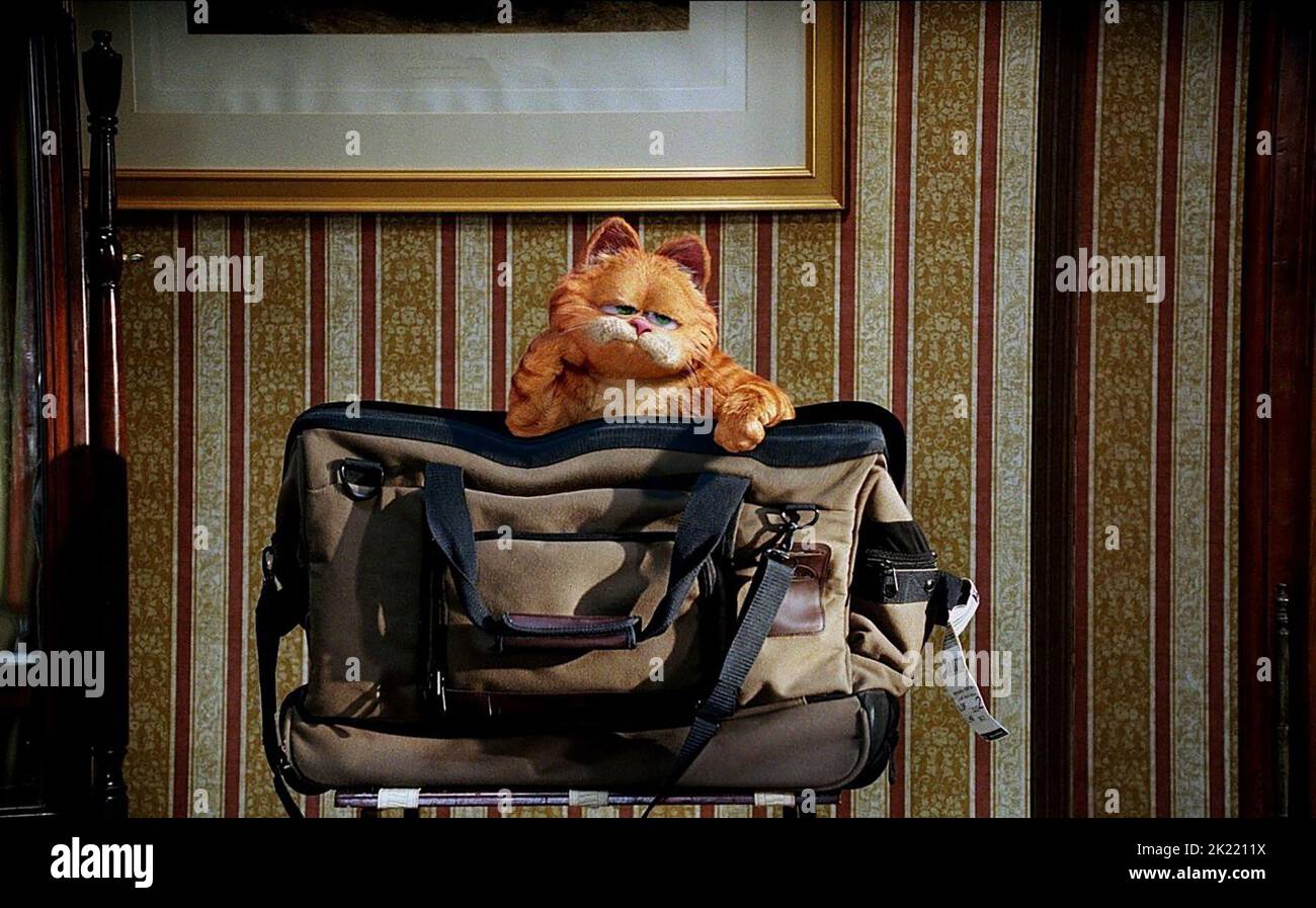 GARFIELD, GARFIELD: A TAIL OF TWO KITTIES, 2006 Stock Photo - Alamy