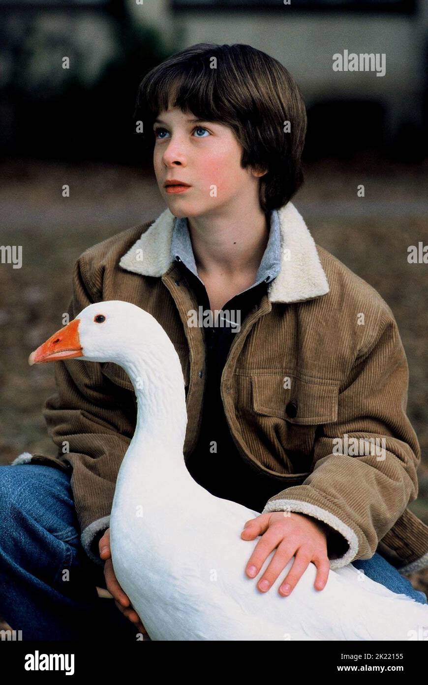 Max morrow hi-res stock photography and images - Alamy