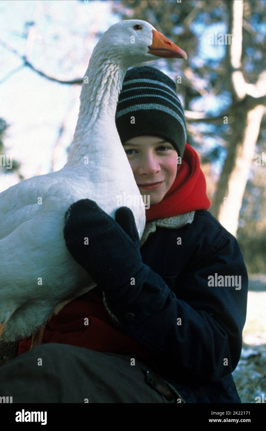 MAX MORROW, GOOSE, GOOSE ON THE LOOSE, 2006 Stock Photo - Alamy
