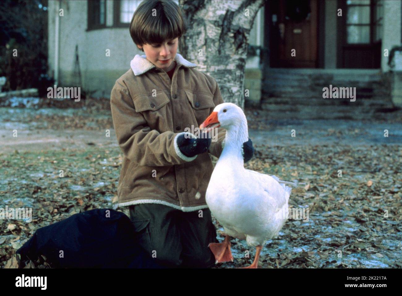 MAX MORROW, GOOSE, GOOSE ON THE LOOSE, 2006 Stock Photo - Alamy
