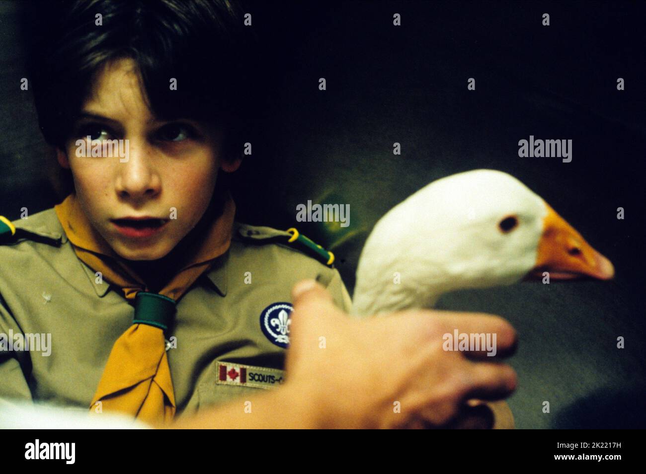 MAX MORROW, GOOSE, GOOSE ON THE LOOSE, 2006 Stock Photo - Alamy