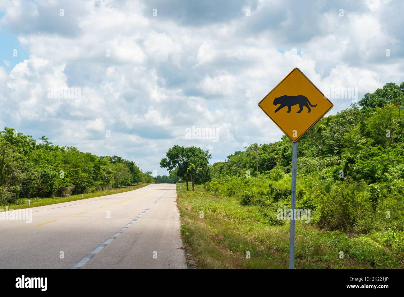 Jaguar crossing sign along an empty highway in the Yucatan peninsula of ...