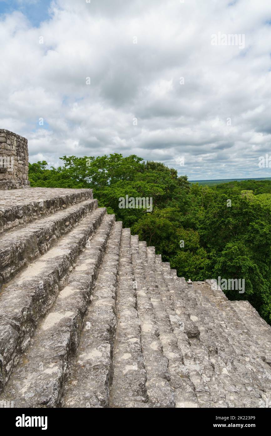 Looking out across ancient Mayan stone steps towards the green jungle ...