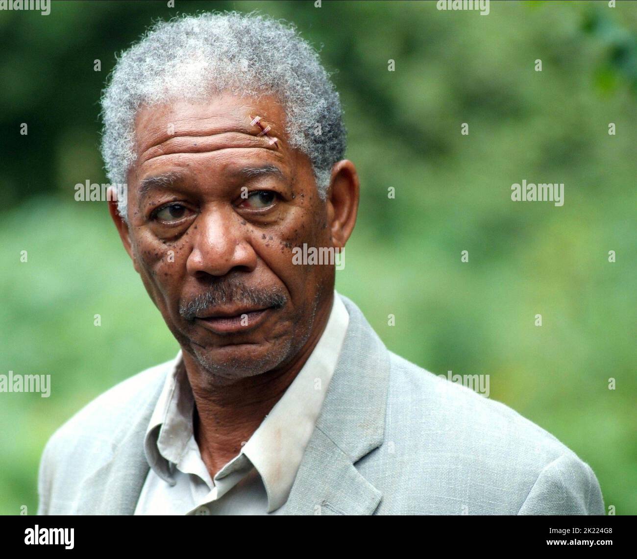 Morgan freeman portrait hi-res stock photography and images - Alamy