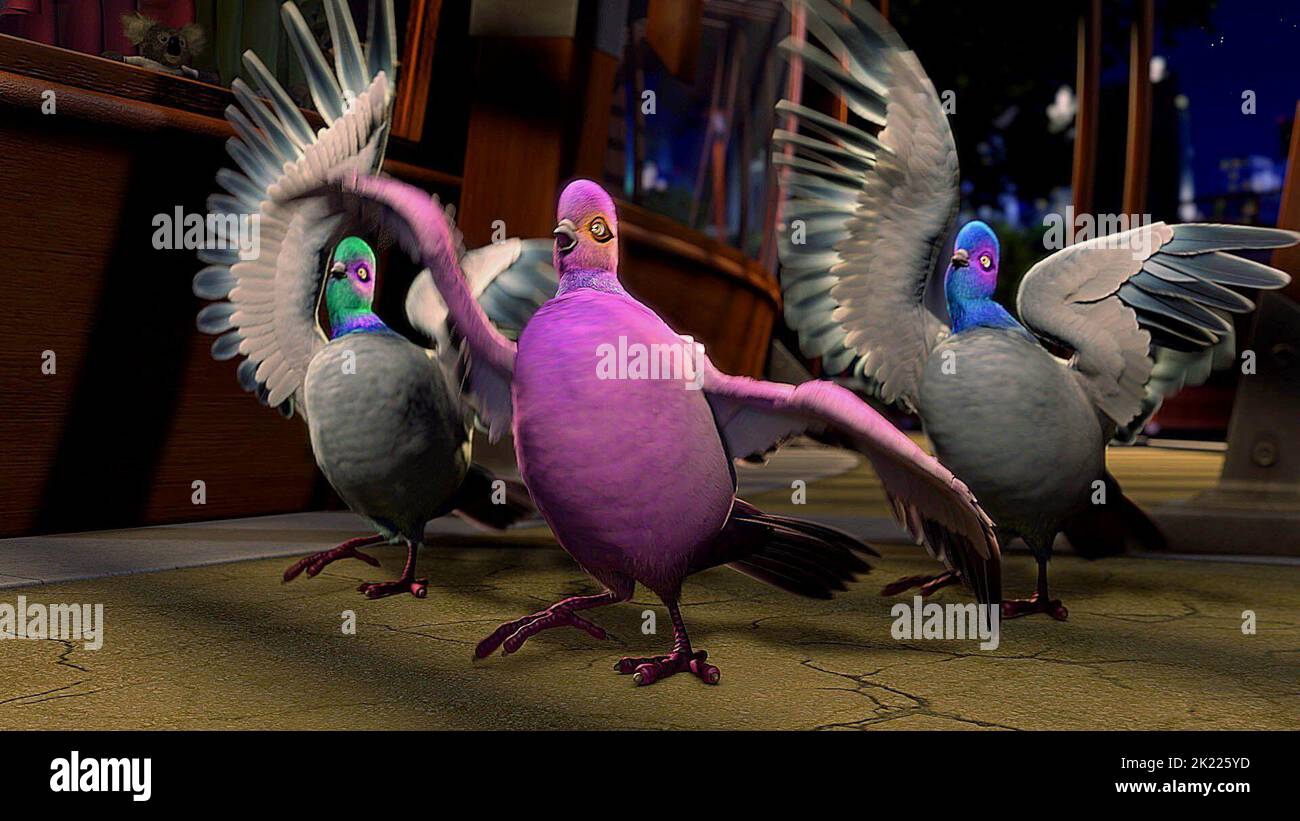 PIGEONS, THE WILD, 2006 Stock Photo - Alamy