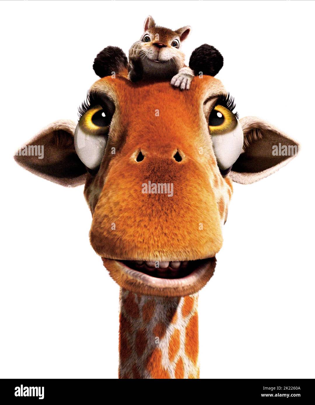 BENNY, BRIDGET, THE WILD, 2006 Stock Photo - Alamy