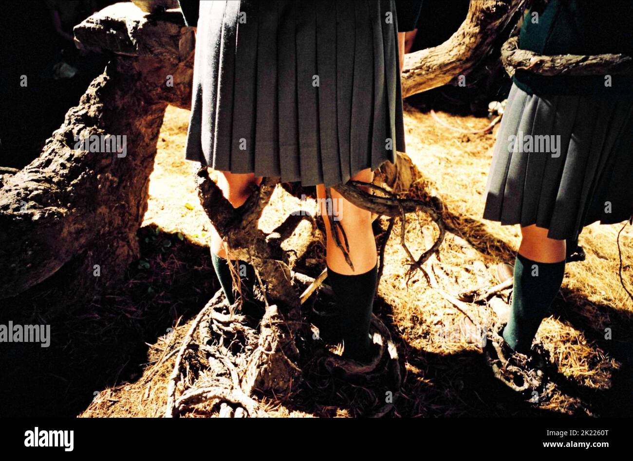 GENERAL SCENE, THE WOODS, 2006 Stock Photo - Alamy