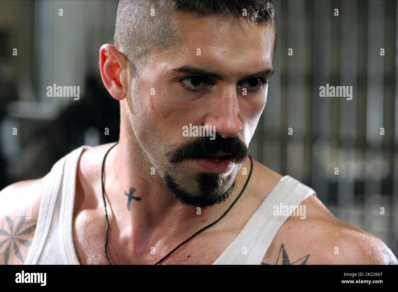 Scott Adkins Boyka Wallpapers