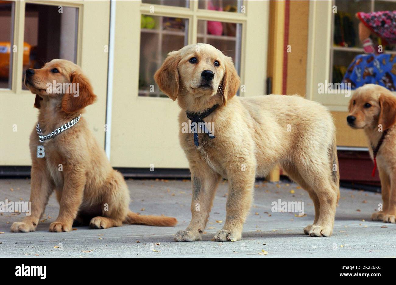 Air buddies 2006 hi-res stock photography and images - Alamy
