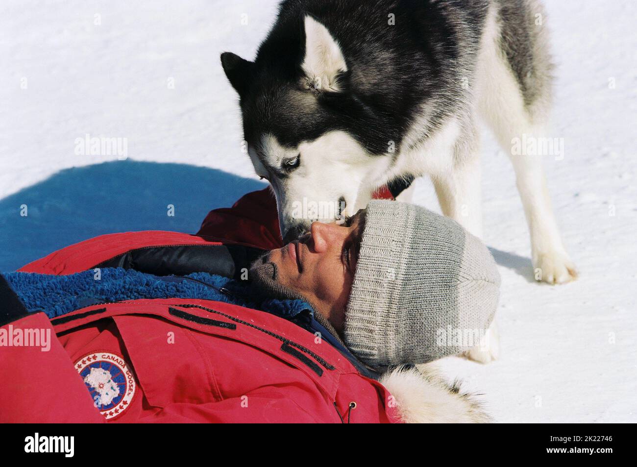 WALKER,MAX, EIGHT BELOW, 2006 Stock Photo - Alamy