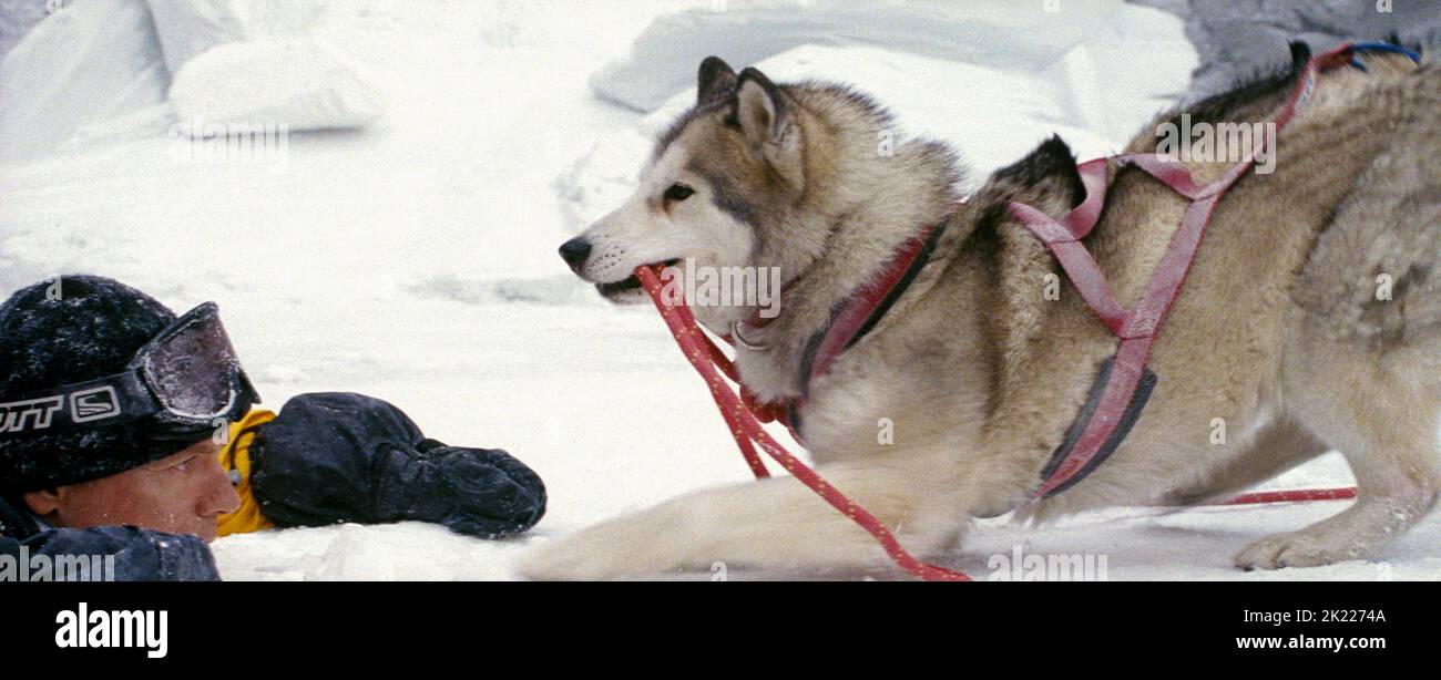 GREENWOOD,MAYA, EIGHT BELOW, 2006 Stock Photo - Alamy