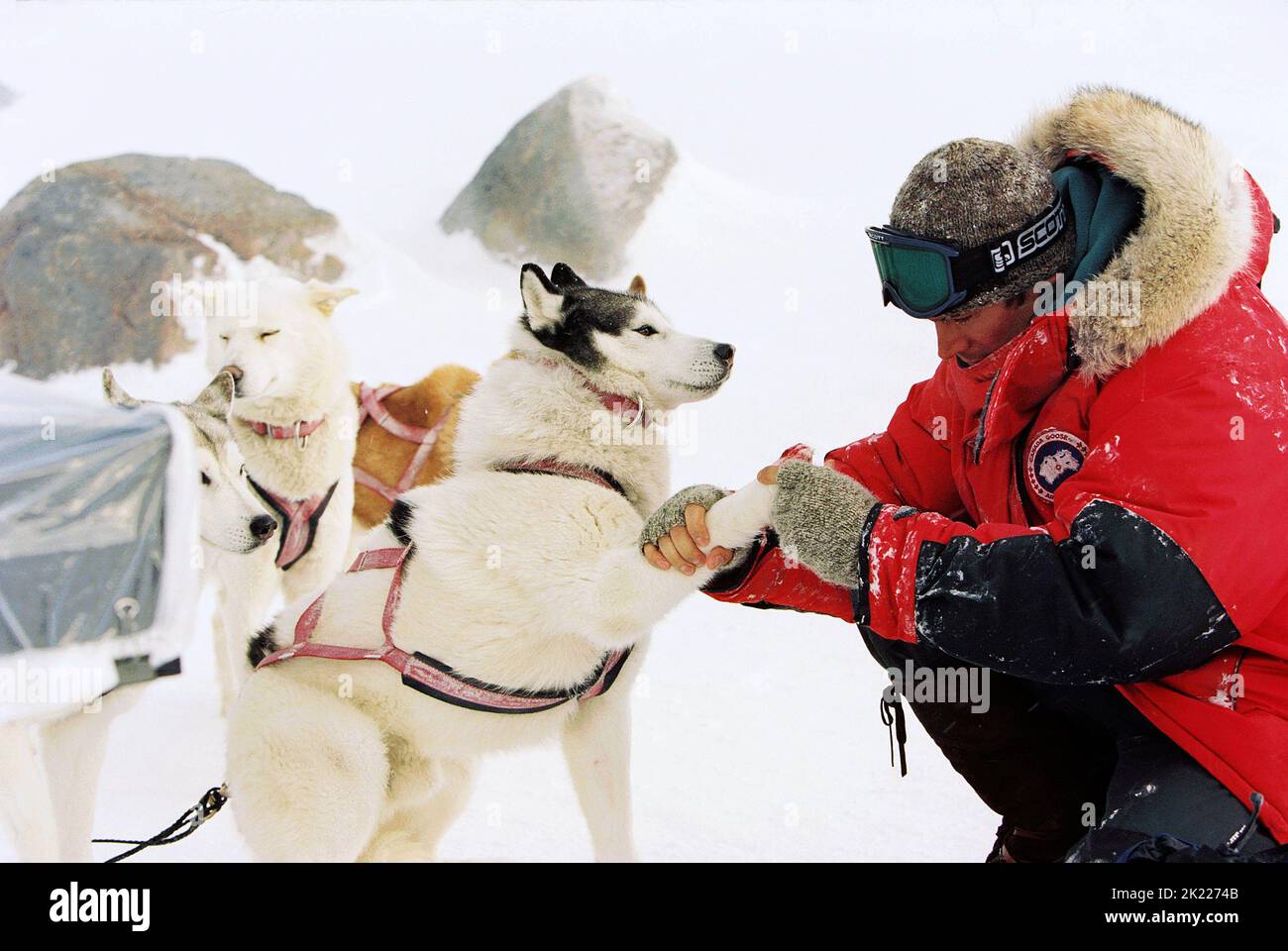 Paul walker dog eight below hi-res stock photography and images - Alamy