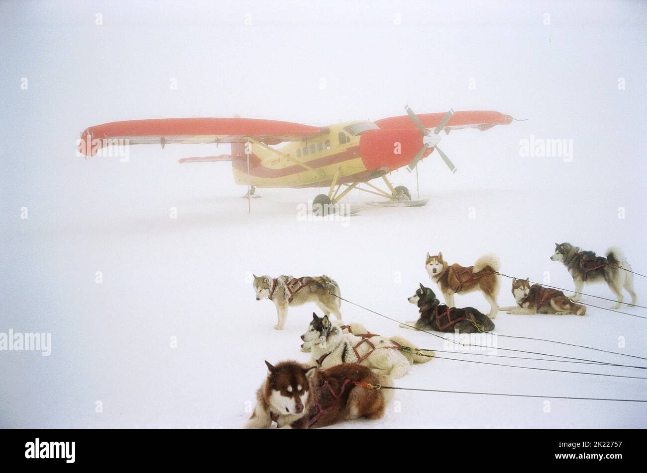 Eight below movie hi-res stock photography and images - Alamy