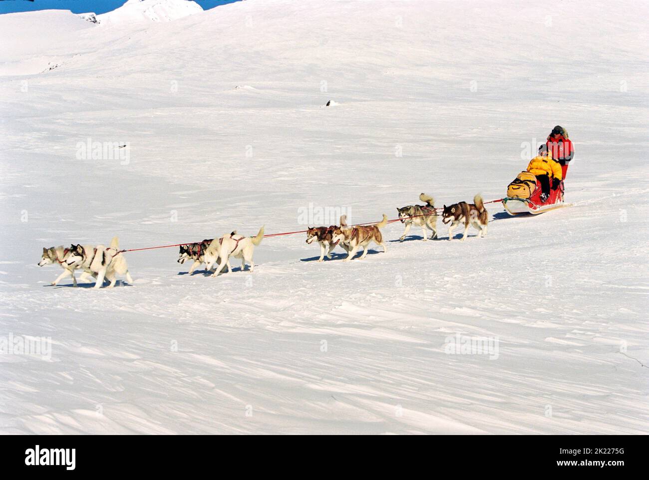 Huskies antarctica hi-res stock photography and images - Alamy