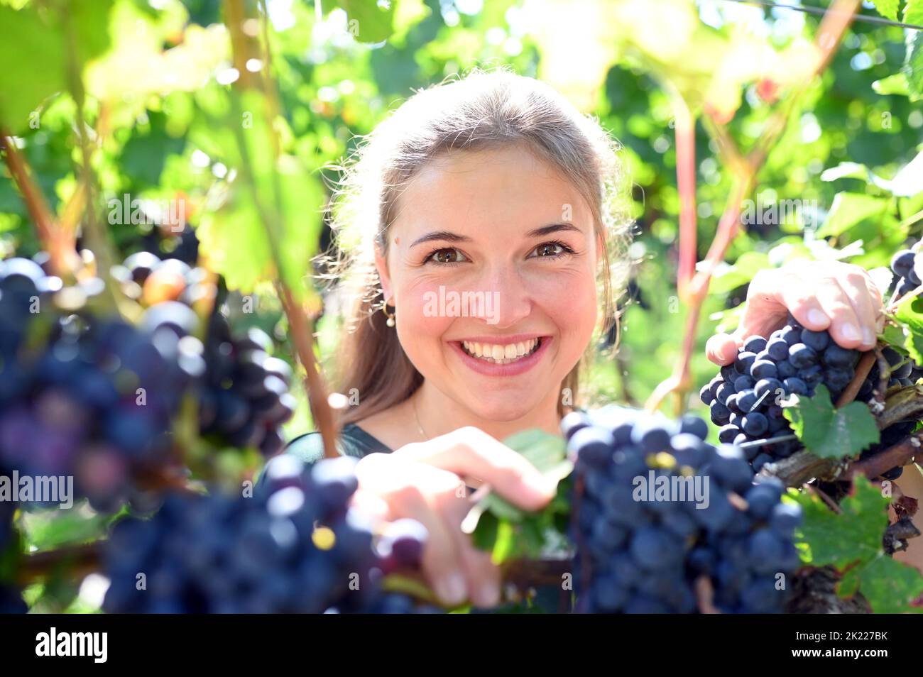 Durbach, Germany. 13th Sep, 2022. Sina Erdrich, 73rd German Wine Queen ...