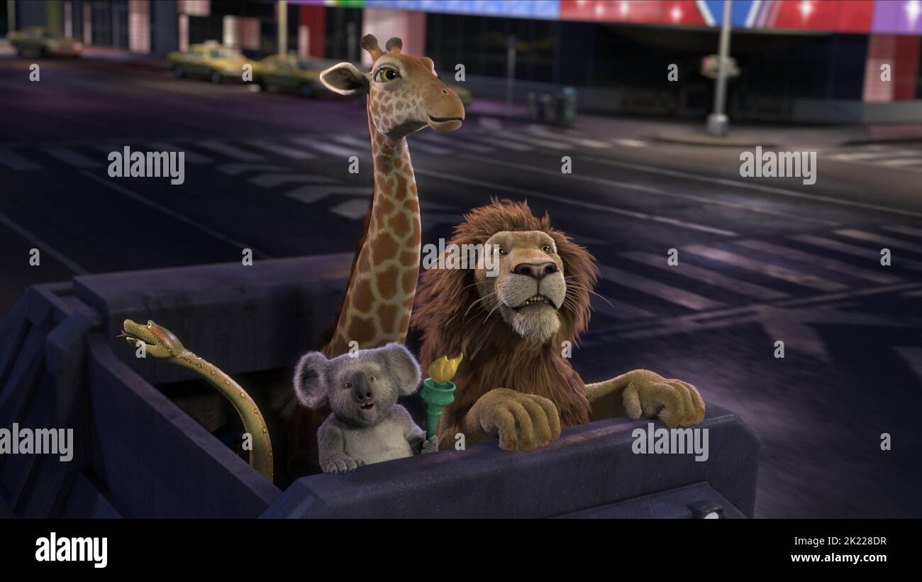 KOALA,BRIDGET,SAMSON, THE WILD, 2006 Stock Photo - Alamy