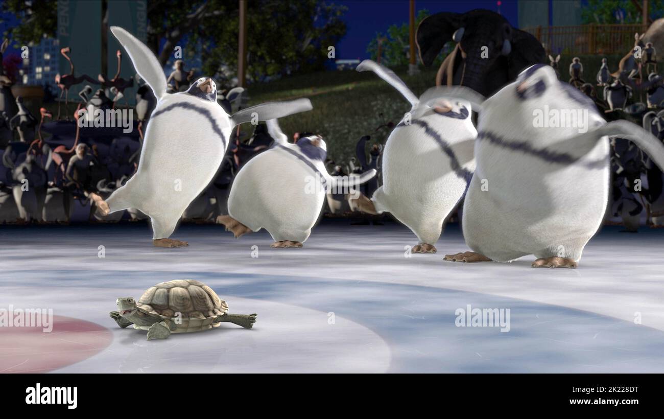 TURTLE,PENGUINS, THE WILD, 2006 Stock Photo - Alamy