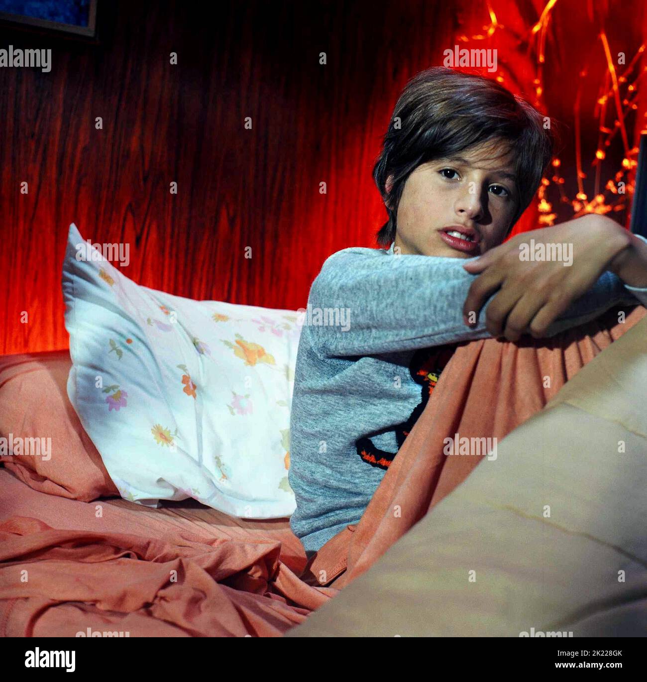 Malcolm stumpf wild tigers known hi-res stock photography and images ...