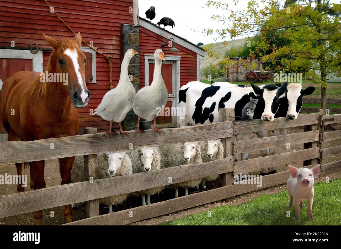 IKE,GUSSY,GOOSE,SAMUEL,BITSY,BETSY,WILBUR, CHARLOTTE'S WEB, 2006 Stock ...