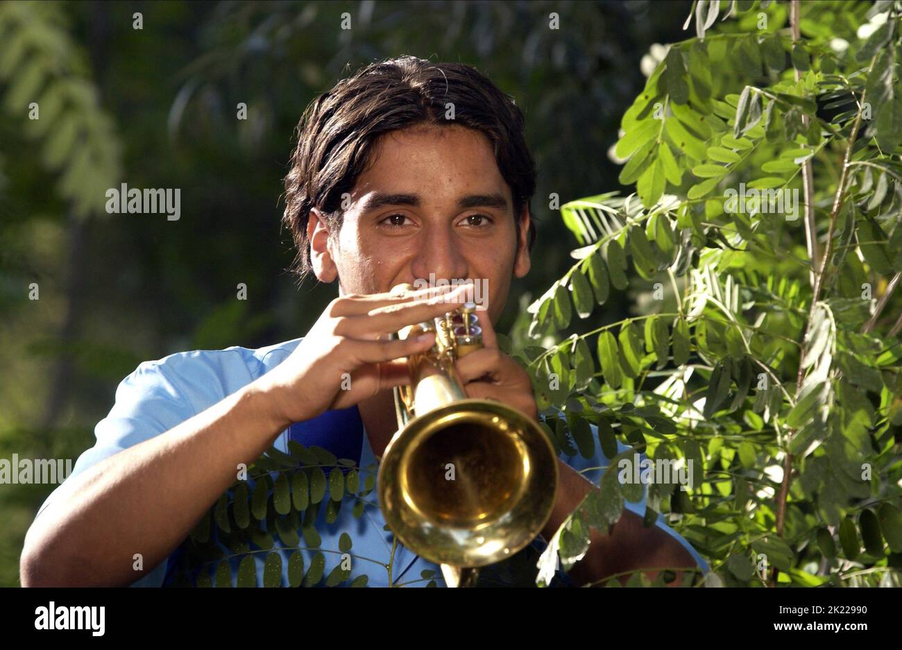 MARKO MARKOVIC, GUCHA, 2006 Stock Photo - Alamy