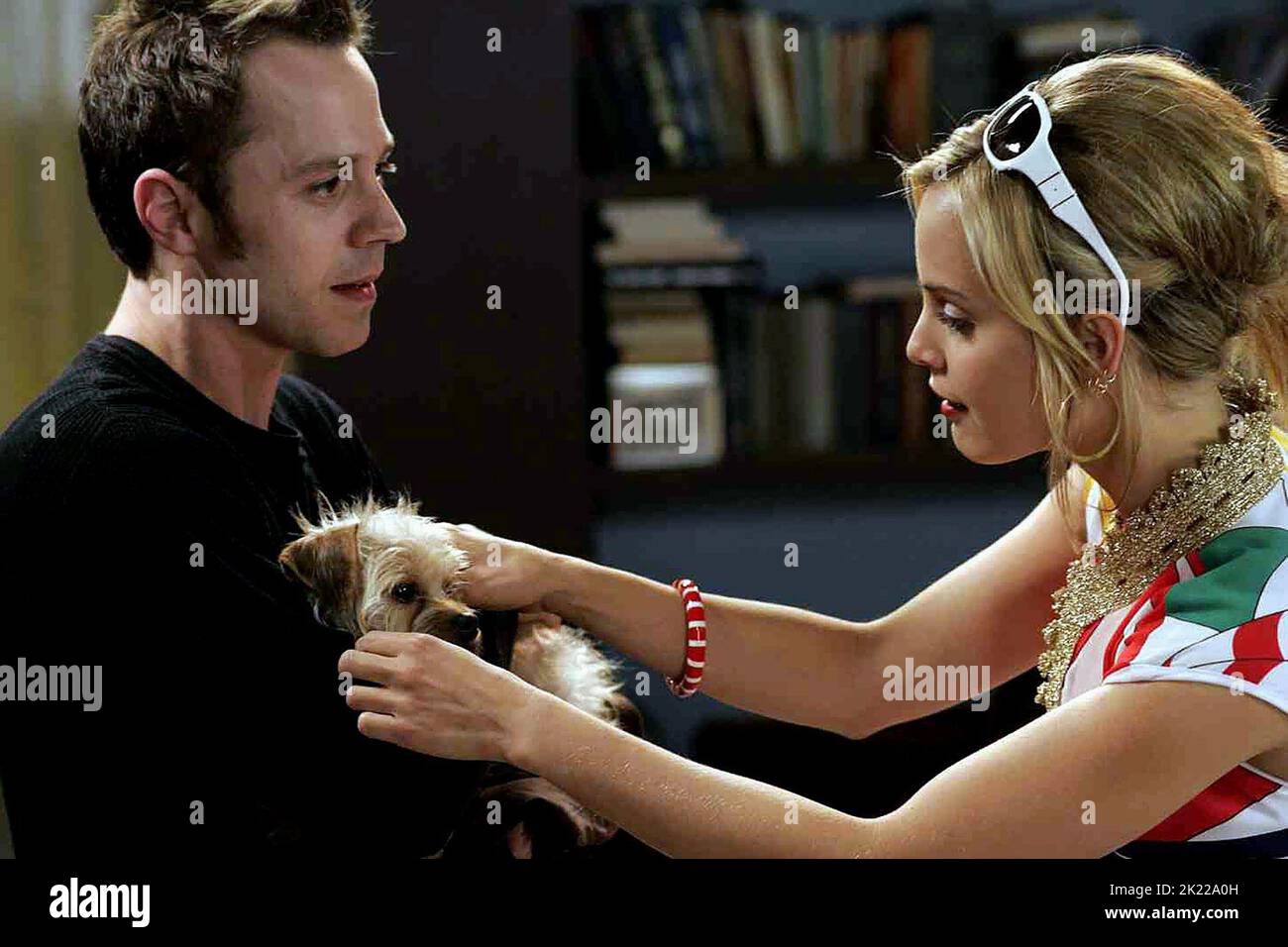 RIBISI,SUVARI, THE DOG PROBLEM, 2006 Stock Photo - Alamy