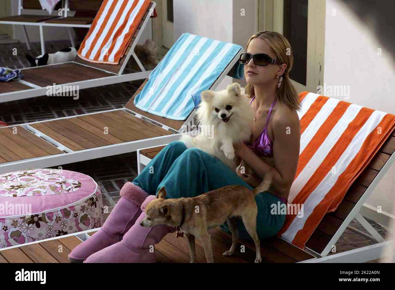 MENA SUVARI, THE DOG PROBLEM, 2006 Stock Photo - Alamy