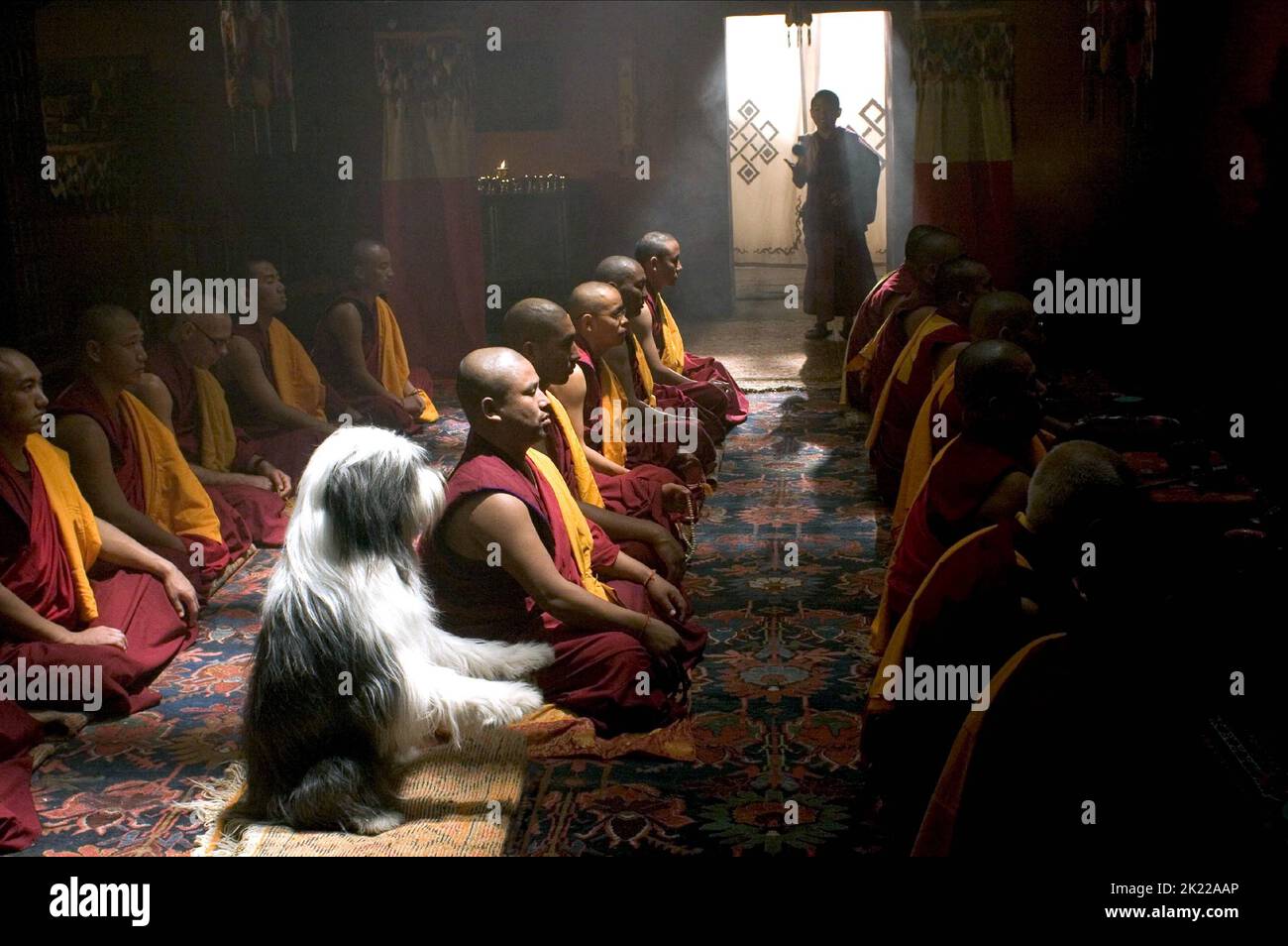 DOG,MONKS, THE SHAGGY DOG, 2006 Stock Photo - Alamy
