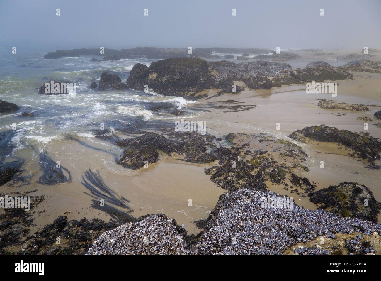 Scattered rocks a brown sand beach with the tide just retrieving to the ...