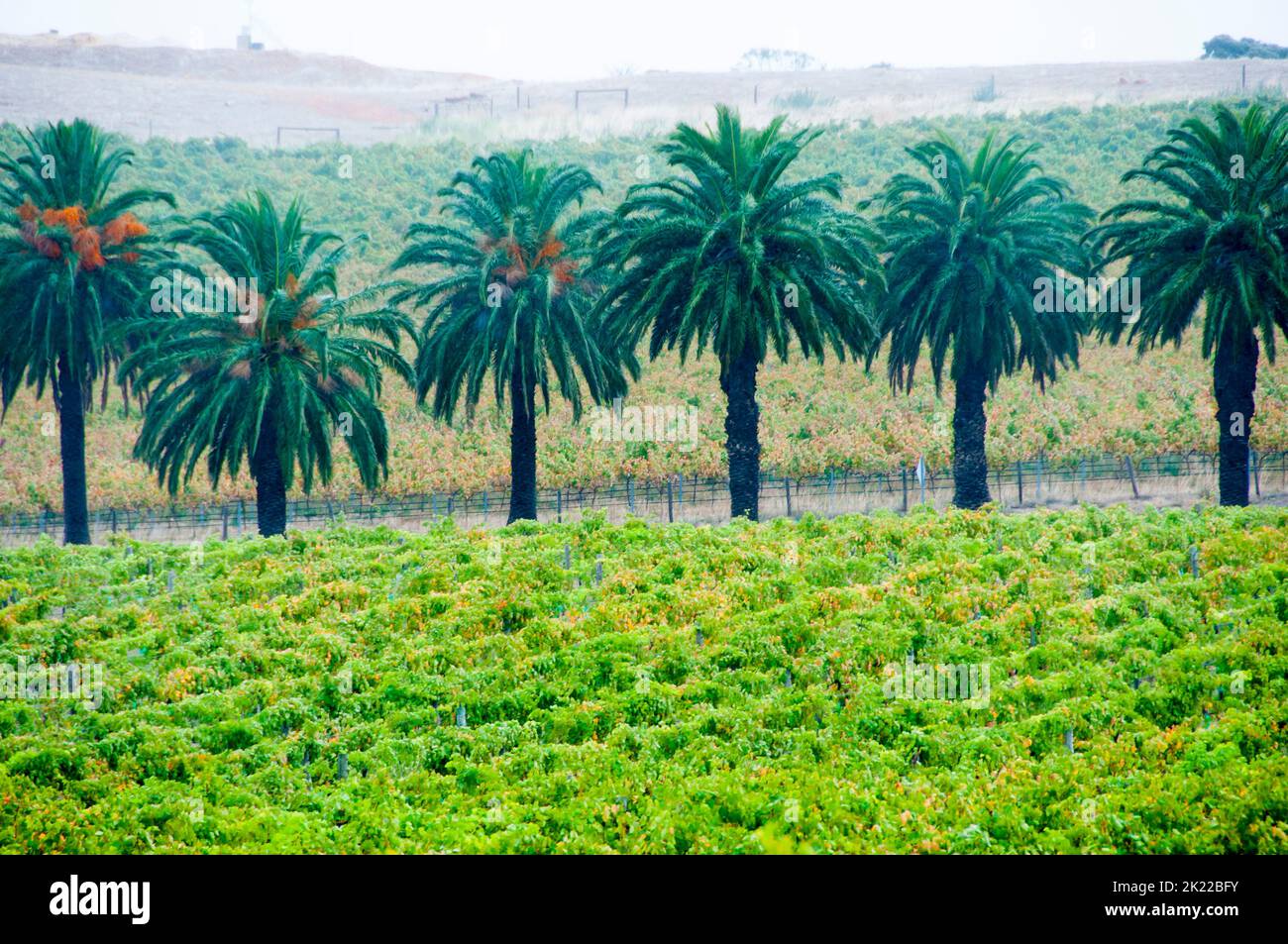 Barossa heritage trail hi-res stock photography and images - Alamy