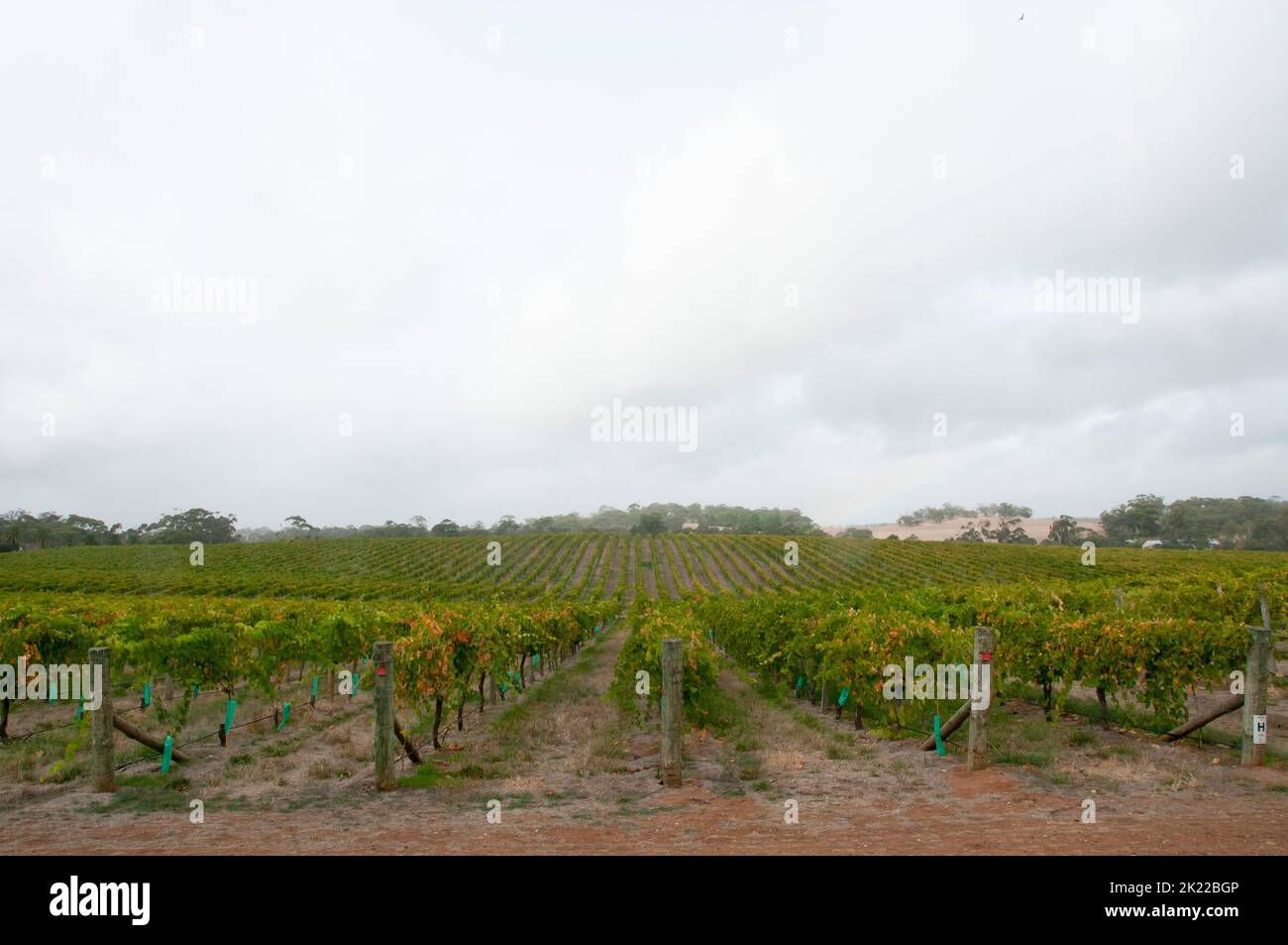 Barossa heritage trail hi-res stock photography and images - Alamy