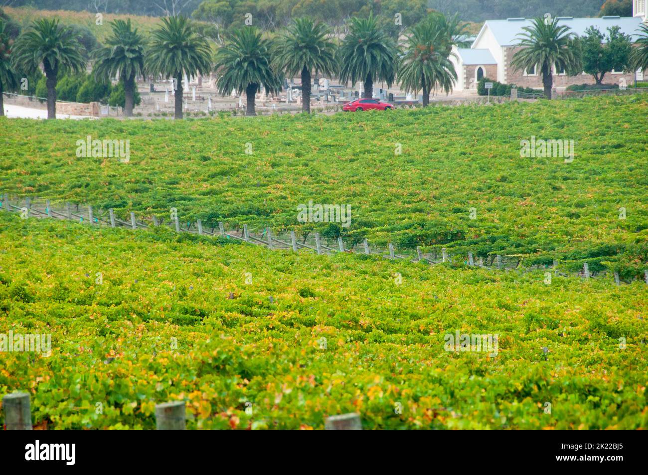 Barossa heritage trail hi-res stock photography and images - Alamy