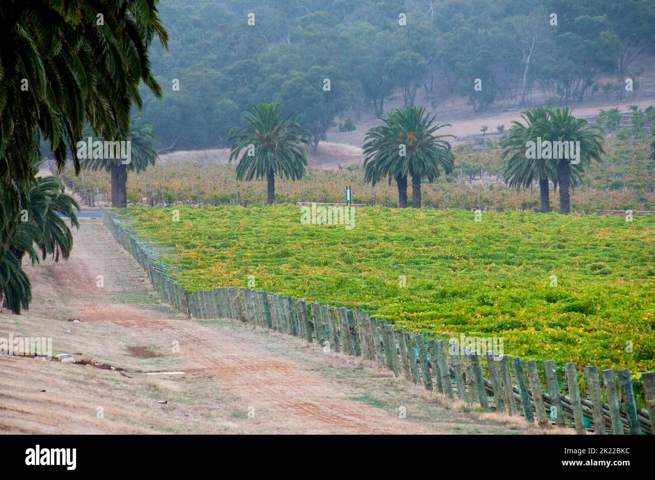 Barossa heritage trail hi-res stock photography and images - Alamy