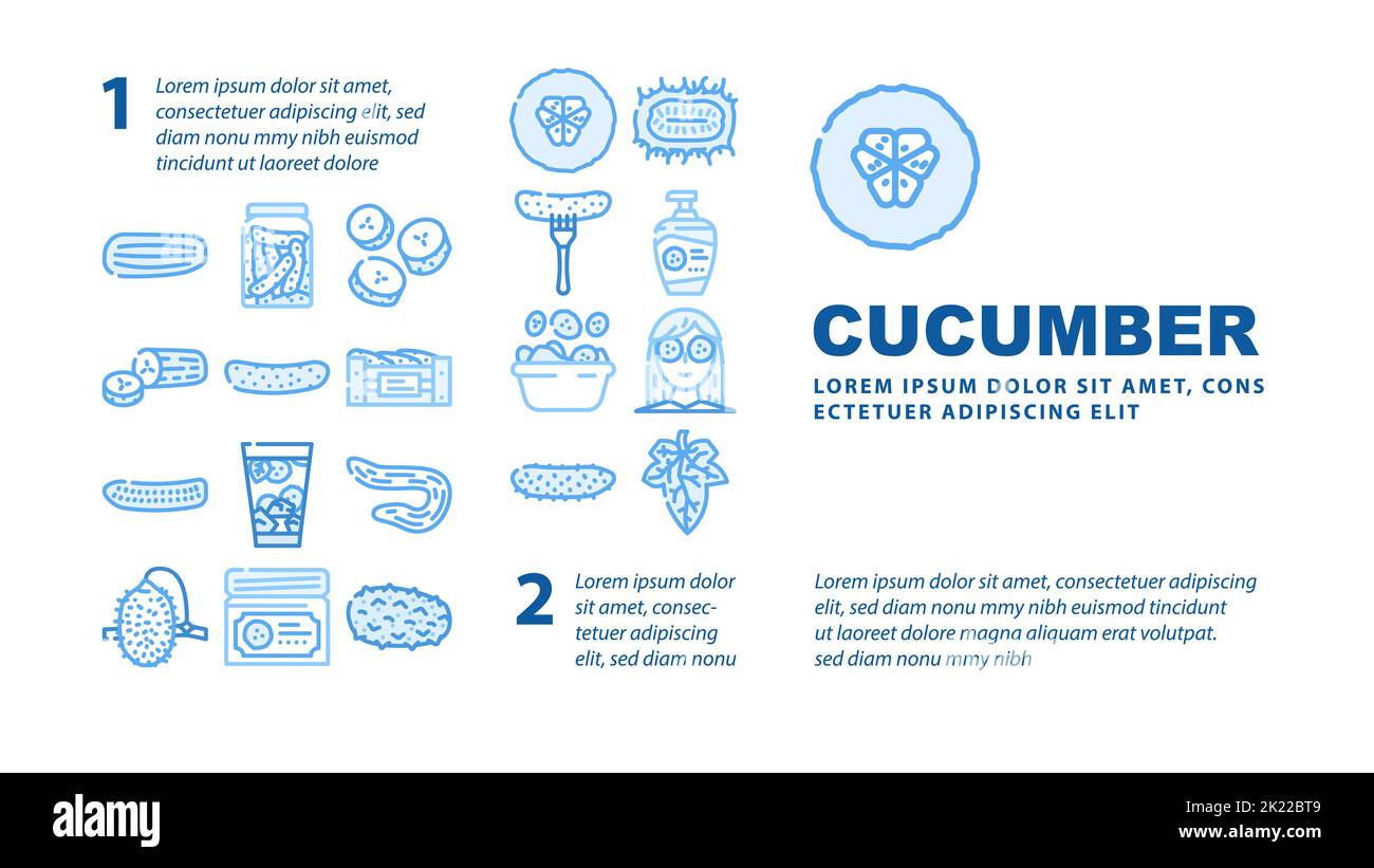 cucumber slice vegetable green landing header vector Stock Vector Image ...