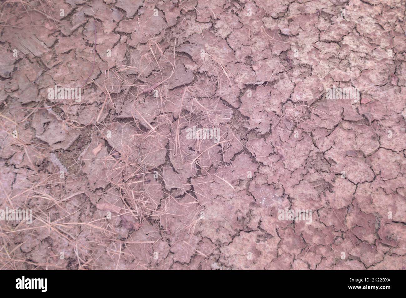 infrared image of the crack dried mud surface of the ground Stock Photo ...