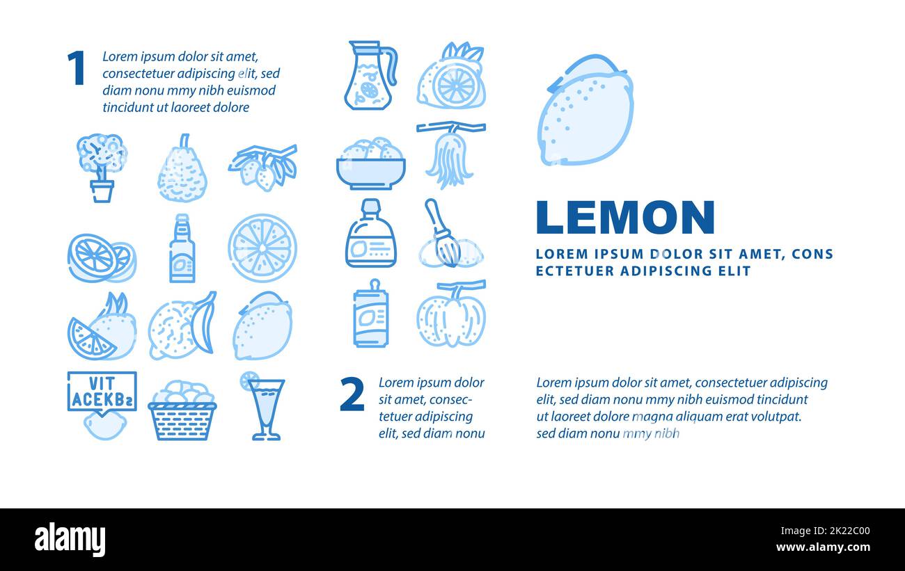 lemon fruit citrus slice fresh landing header vector Stock Vector Image ...