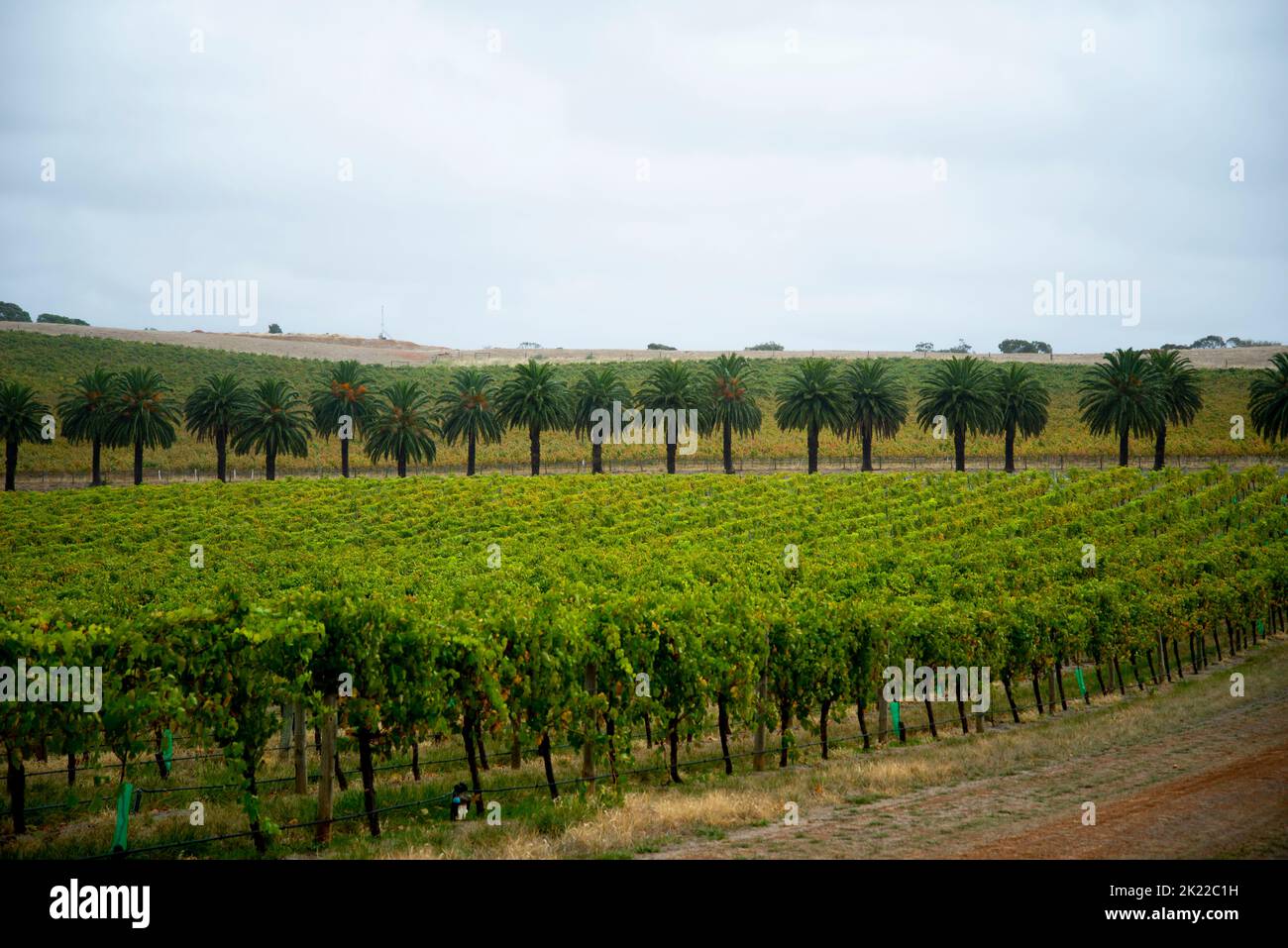 Barossa heritage trail hi-res stock photography and images - Alamy