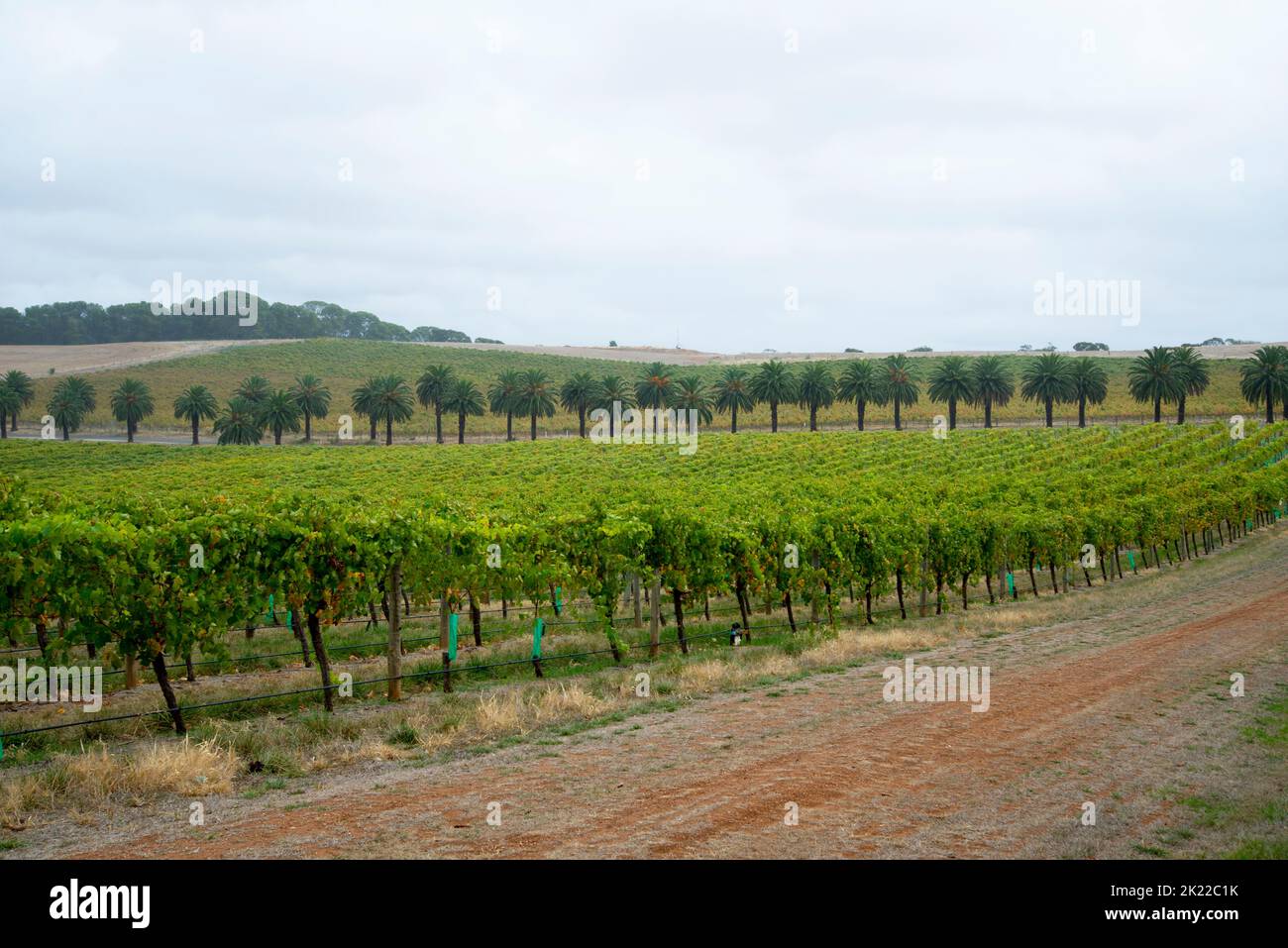 Barossa heritage trail hi-res stock photography and images - Alamy
