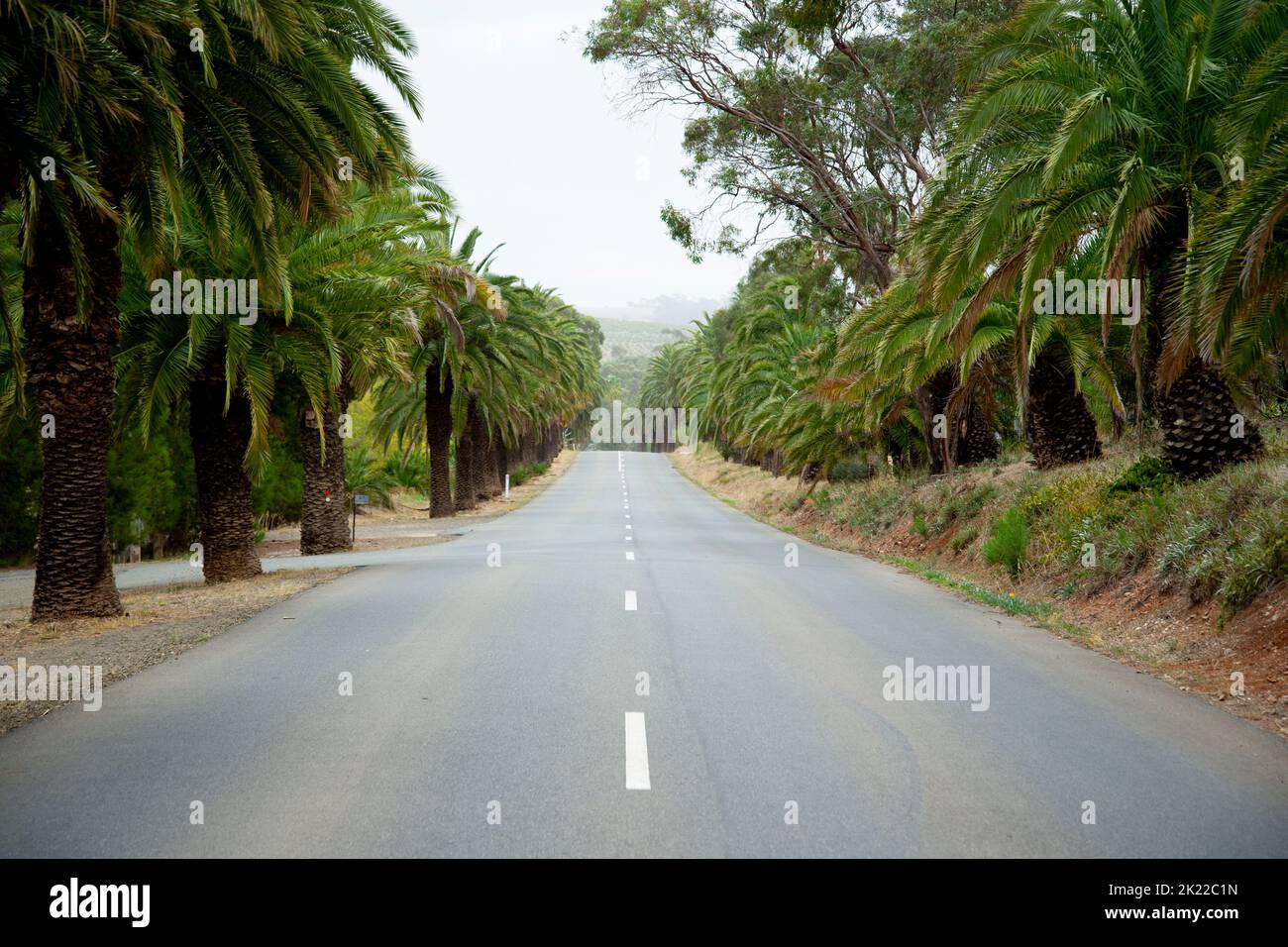 Barossa Valley - South Australia Stock Photo - Alamy