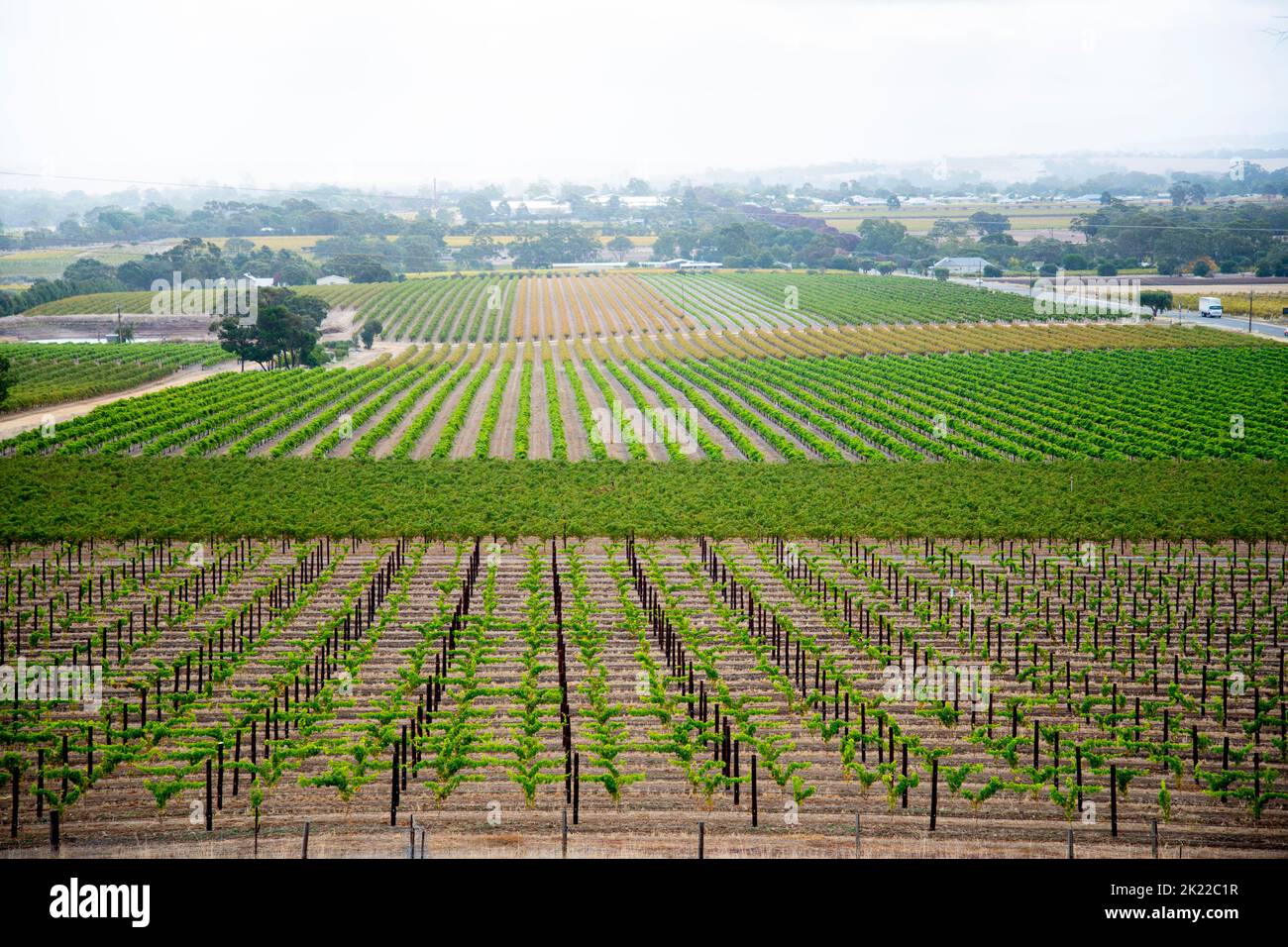 Barossa Valley - South Australia Stock Photo - Alamy