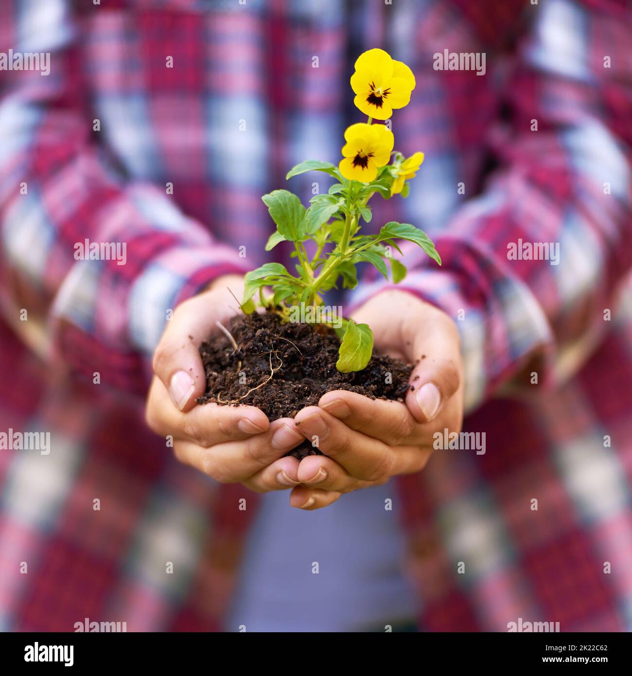 Planting a flower means believing in tomorrow. a woman holding a ...