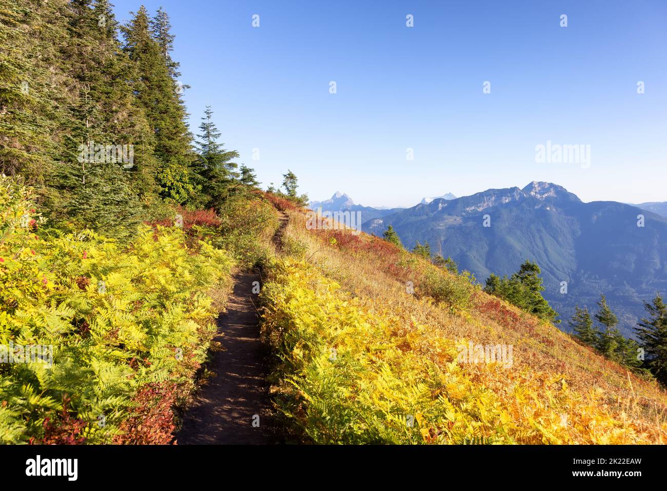 Canada canadian sunny day blue sky green yellow landscape hi-res stock ...