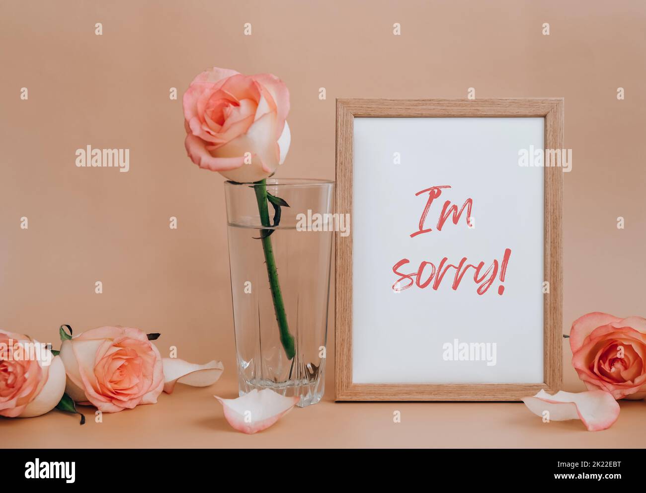 Mockup Wooden frame with text I AM SORRY on blank and delicate pink ...