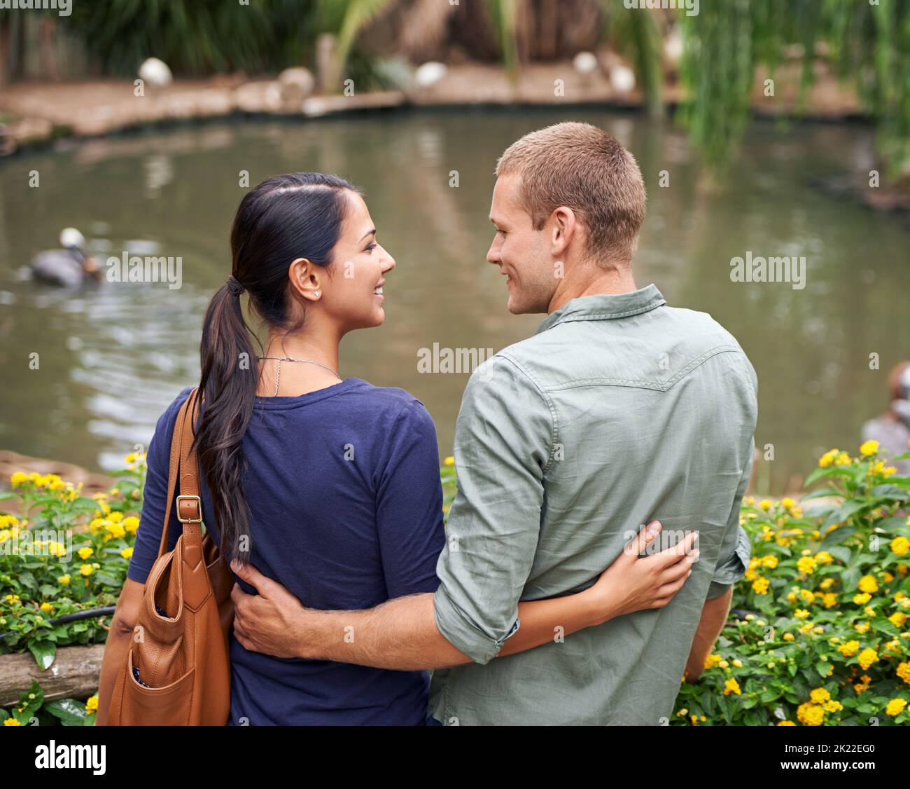 Zoos are not just for kids. a couple enjoying a day at the zoo Stock ...